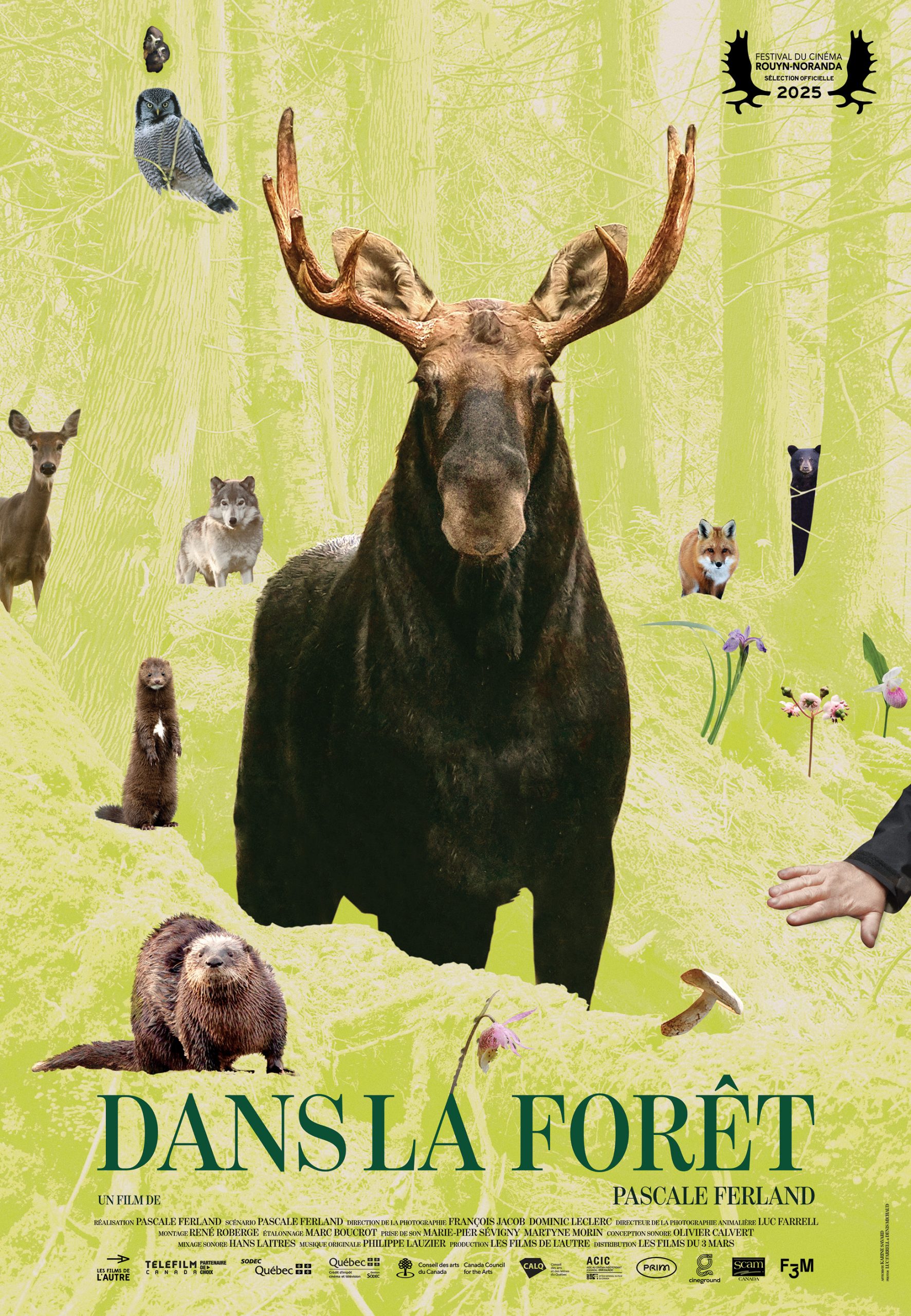 DANS LA FORÊT - Les Films du 3 Mars